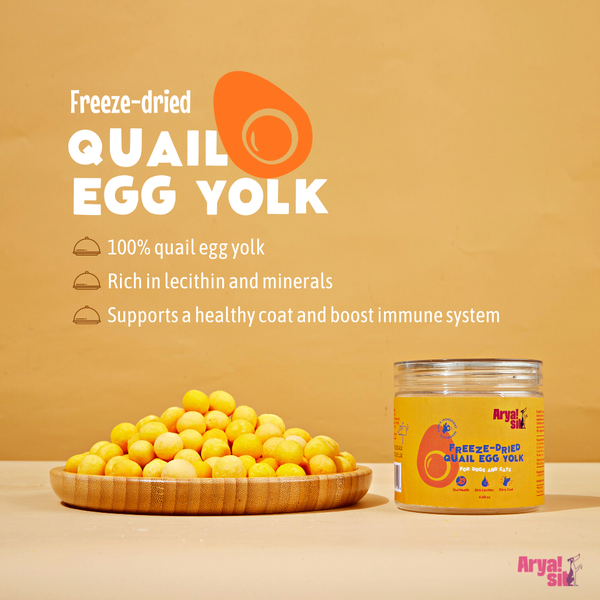 Freeze-Dried Egg Yolk Treats for Dogs (Arya Sit!) | The Hearty Paw